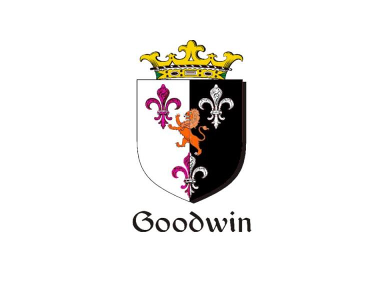 Goodwin Irish Dance | The Irish Dance Teachers Association of North America