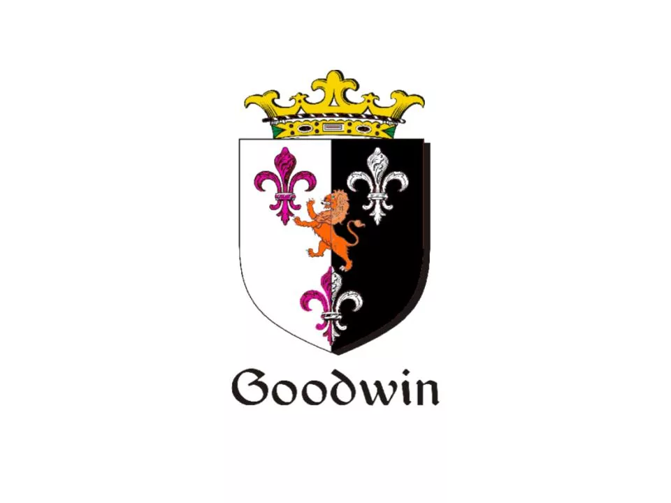 Goodwin Irish Dance | The Irish Dance Teachers Association of North America